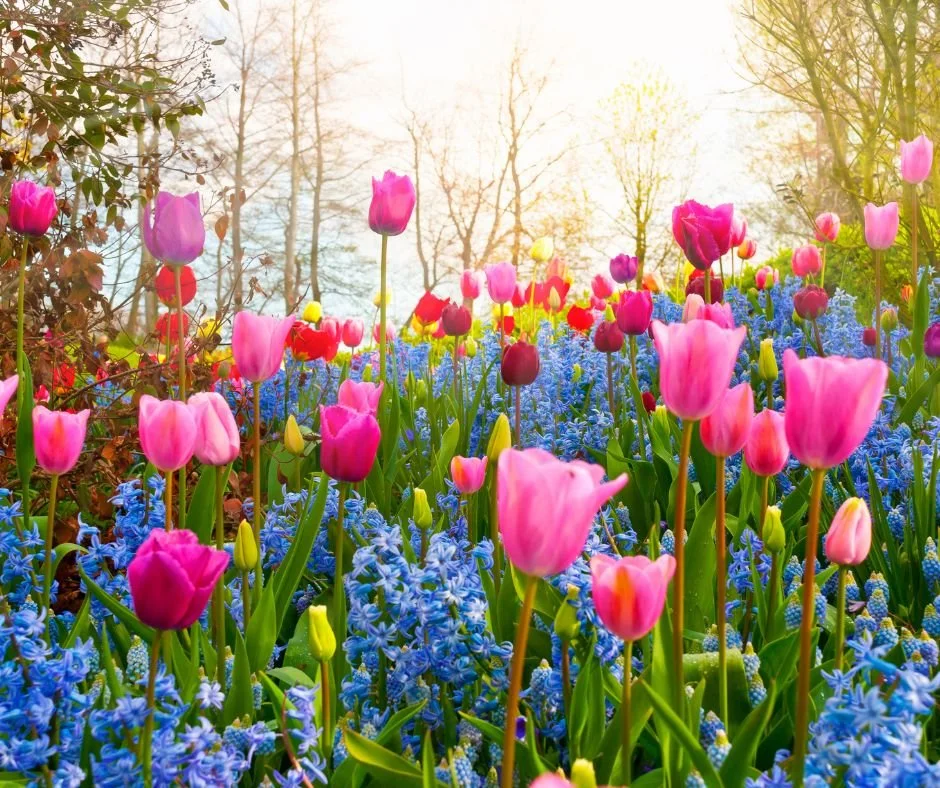 Flower Workshops and Wreath Workshops — The Northern Flower Garden ...