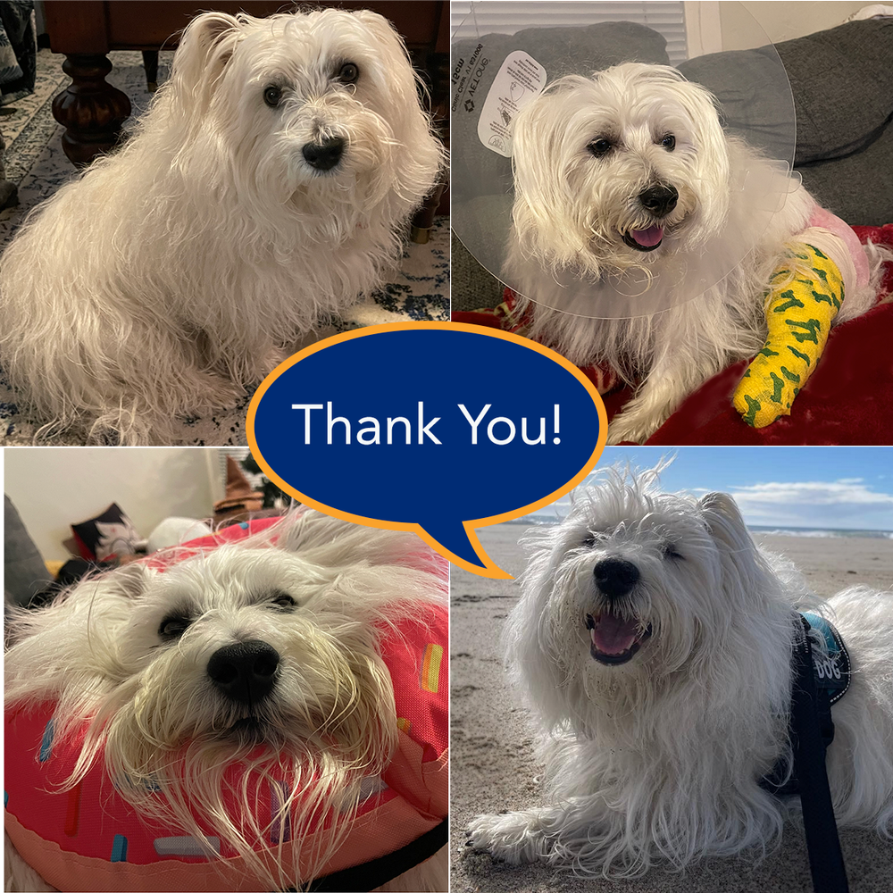 Finlay — KARMA rescue