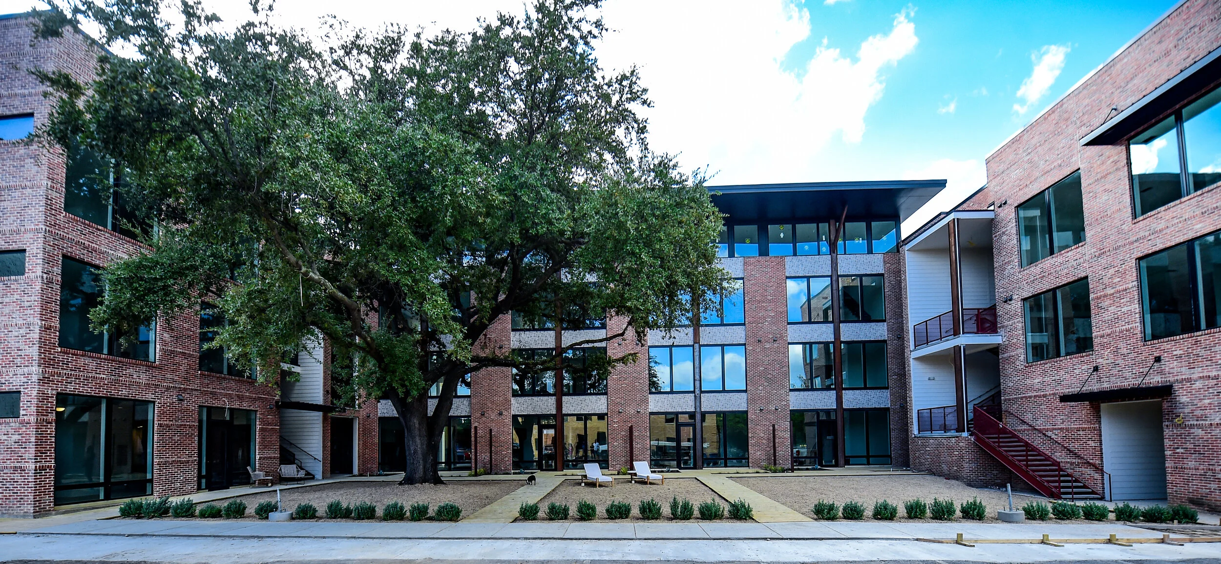 Treehaus — Exxir Capital