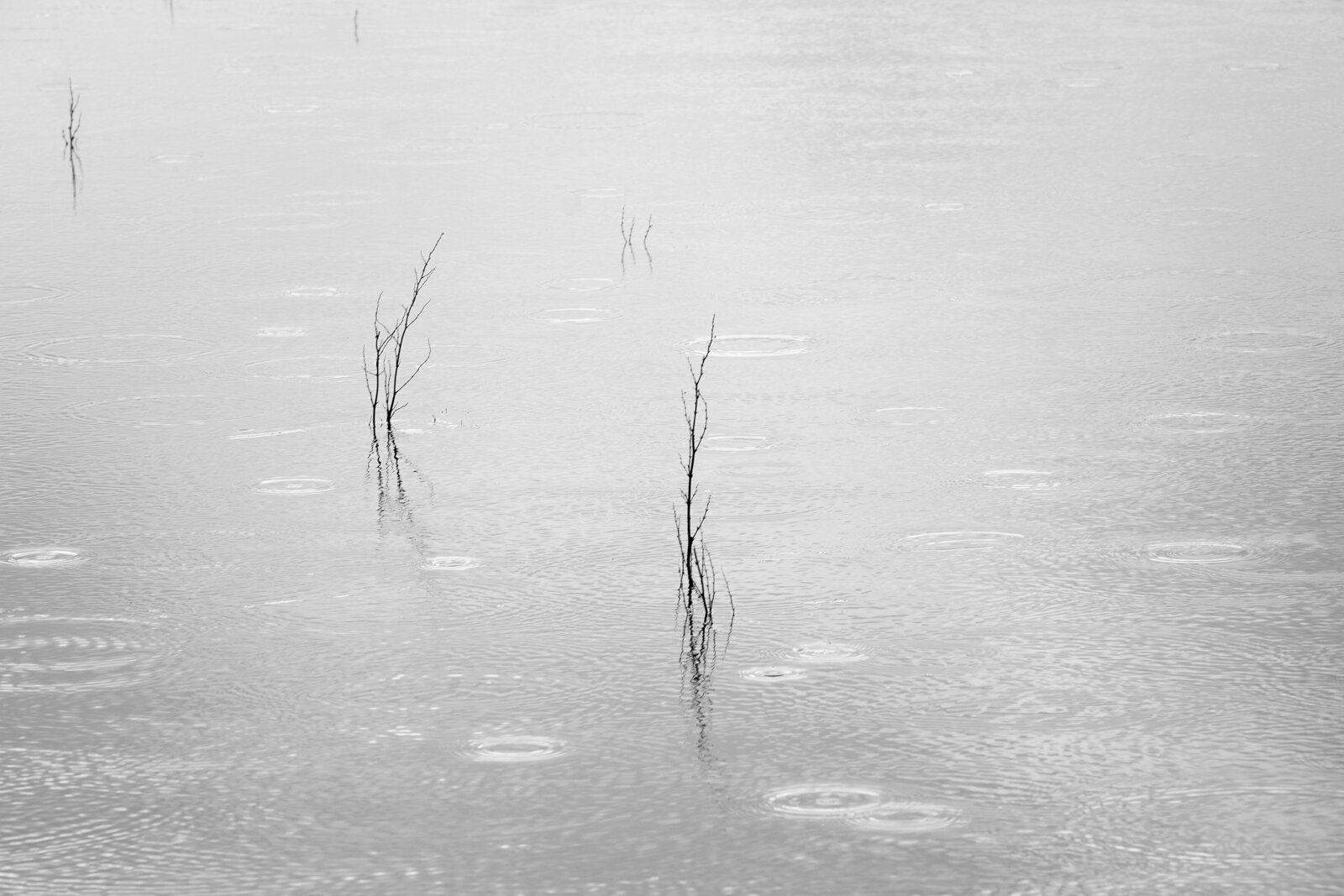 Minimalism — Caroline Preece Photography