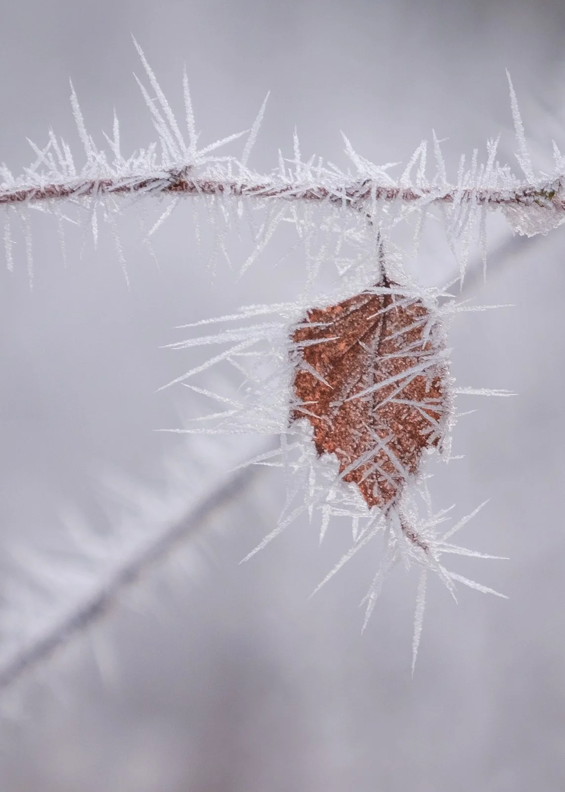 Quotes — Caroline Preece Photography