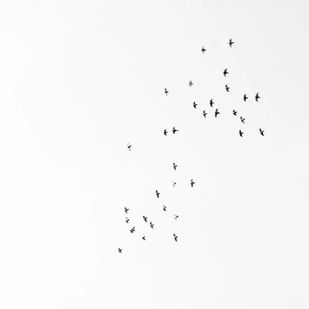 New talks - 26/27 season — Caroline Preece Photography