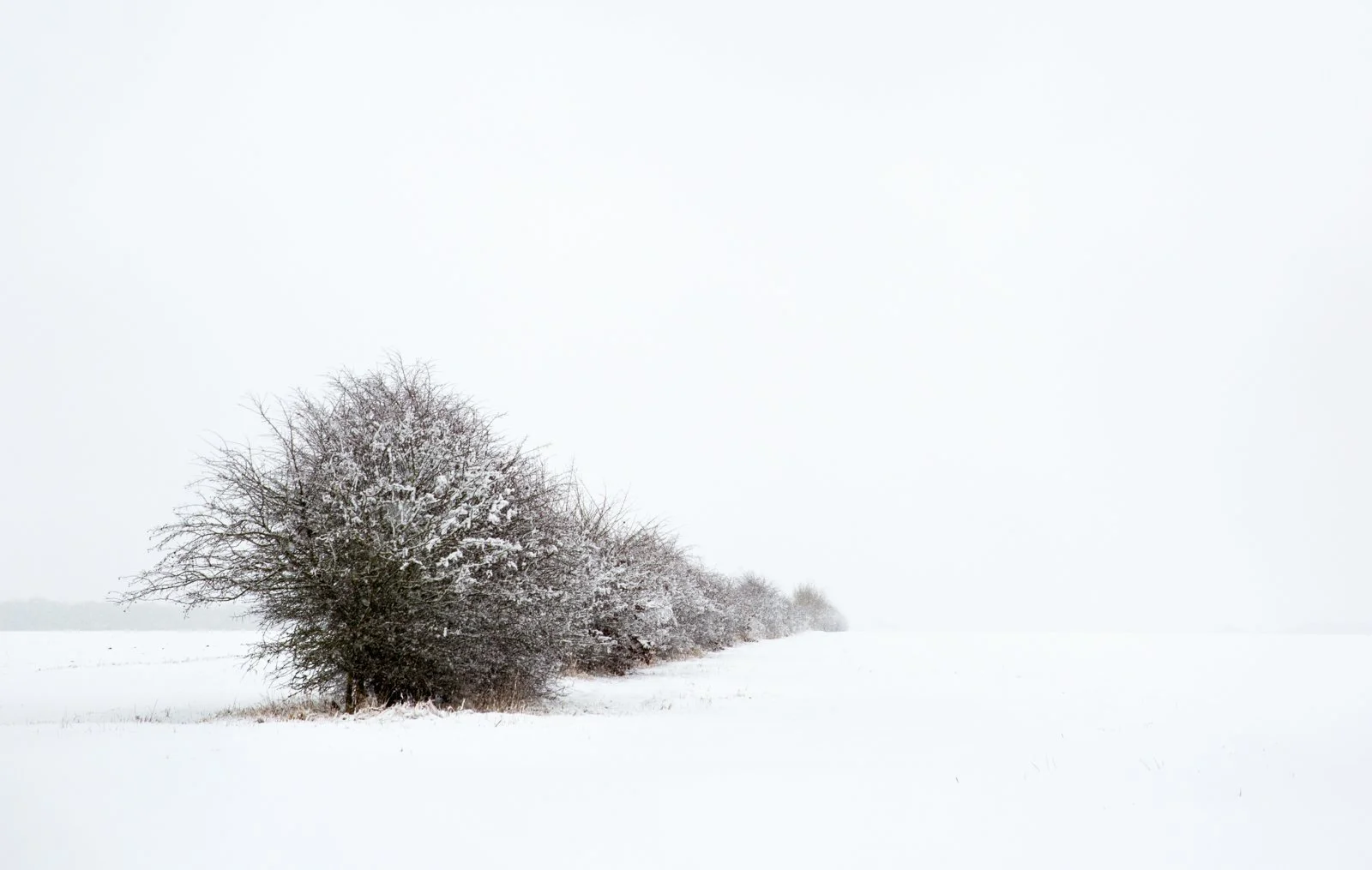 Caroline Preece Photography — Caroline Preece Photography