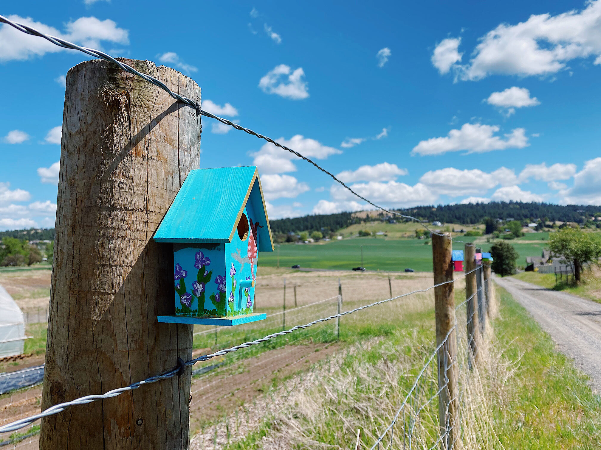 About Us — Sweet Mercy Farm