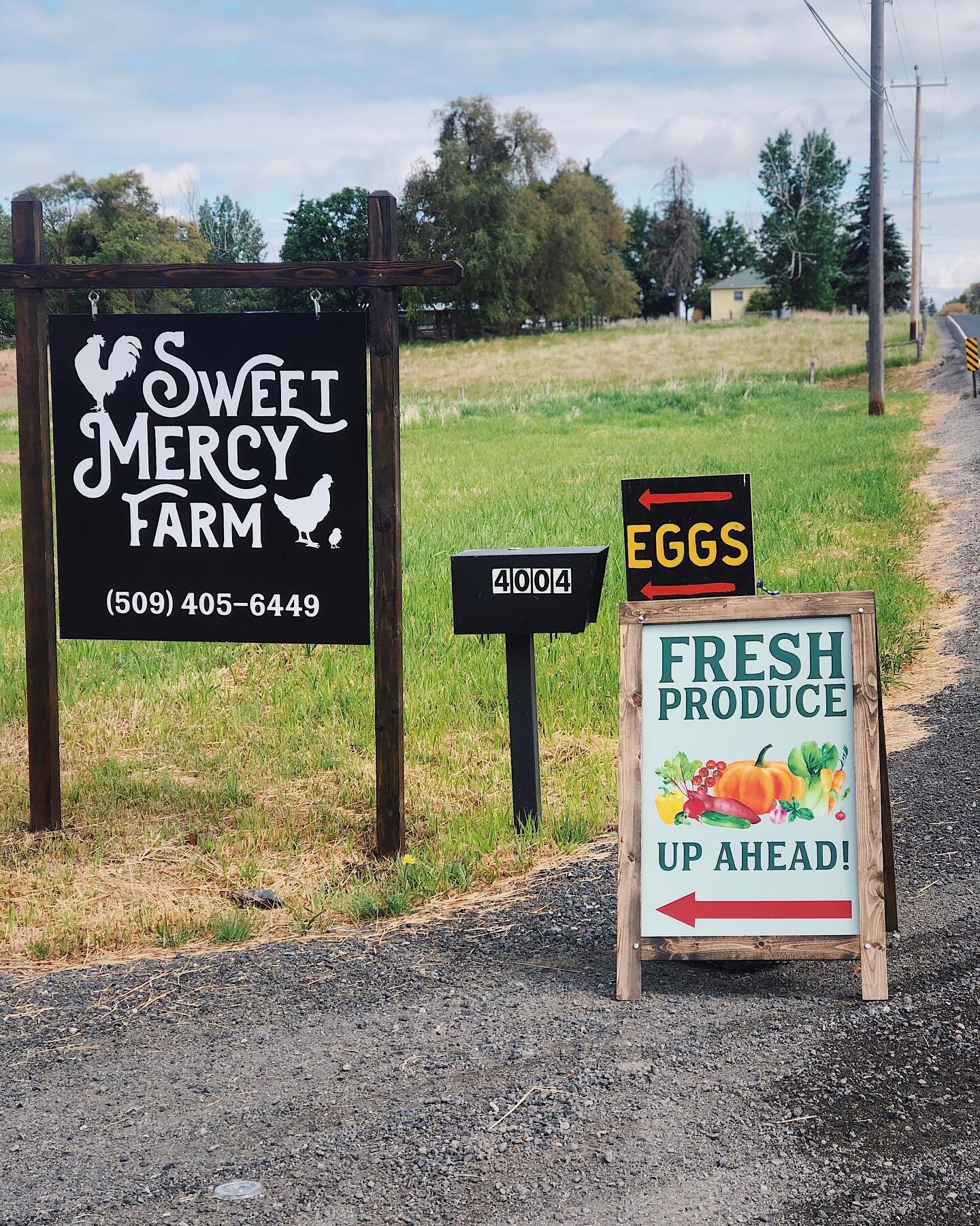 Sweet Mercy Farm