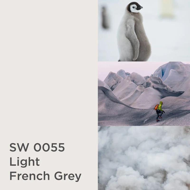 Gallery 3 — Adornus