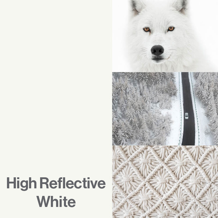 Designer Series — Adornus