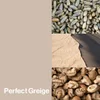 Designer Series — Adornus