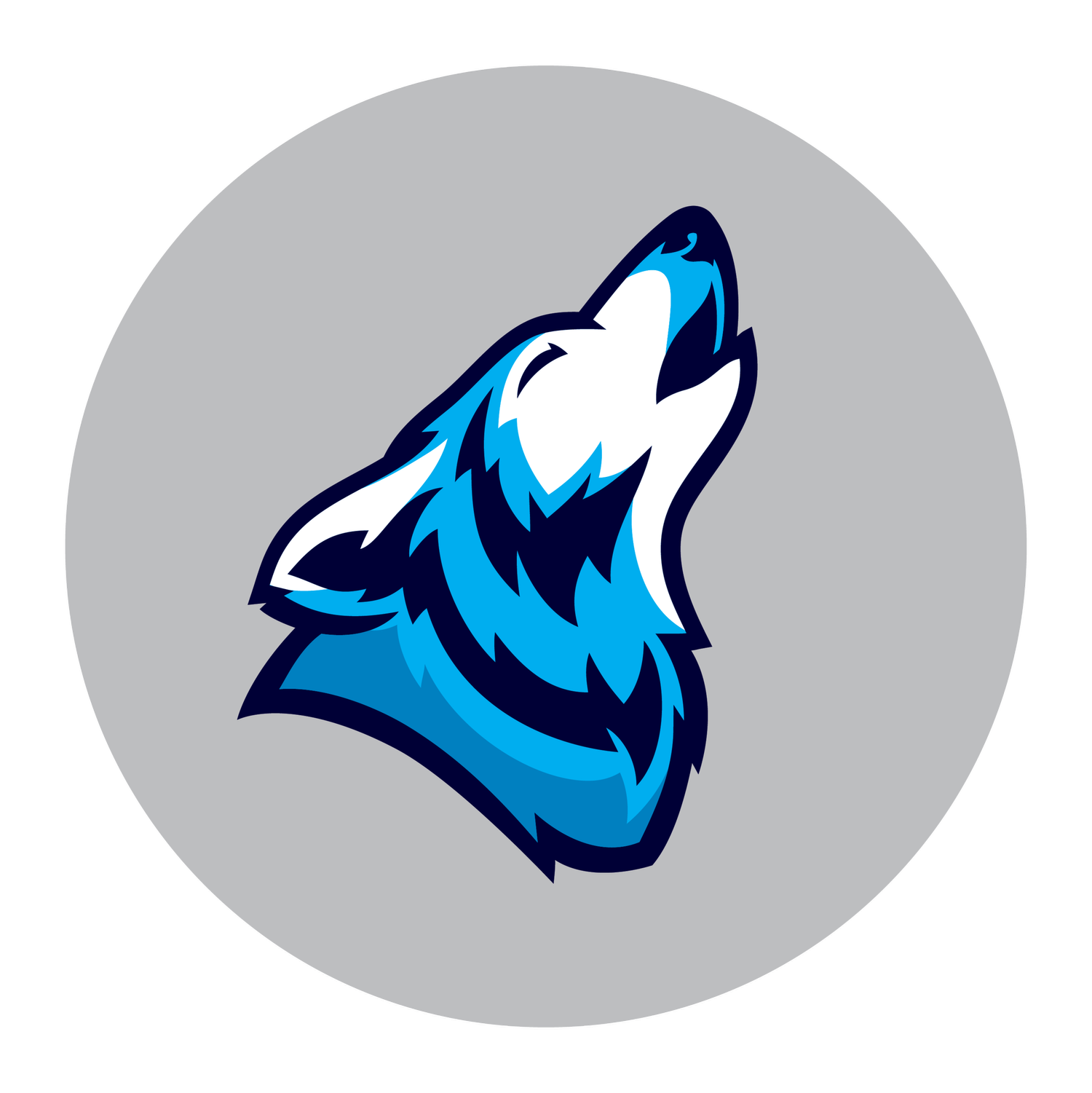 About Blue Wolf Martial Arts - Blue Wolf Logo - Blue Wolf Symbolism ...