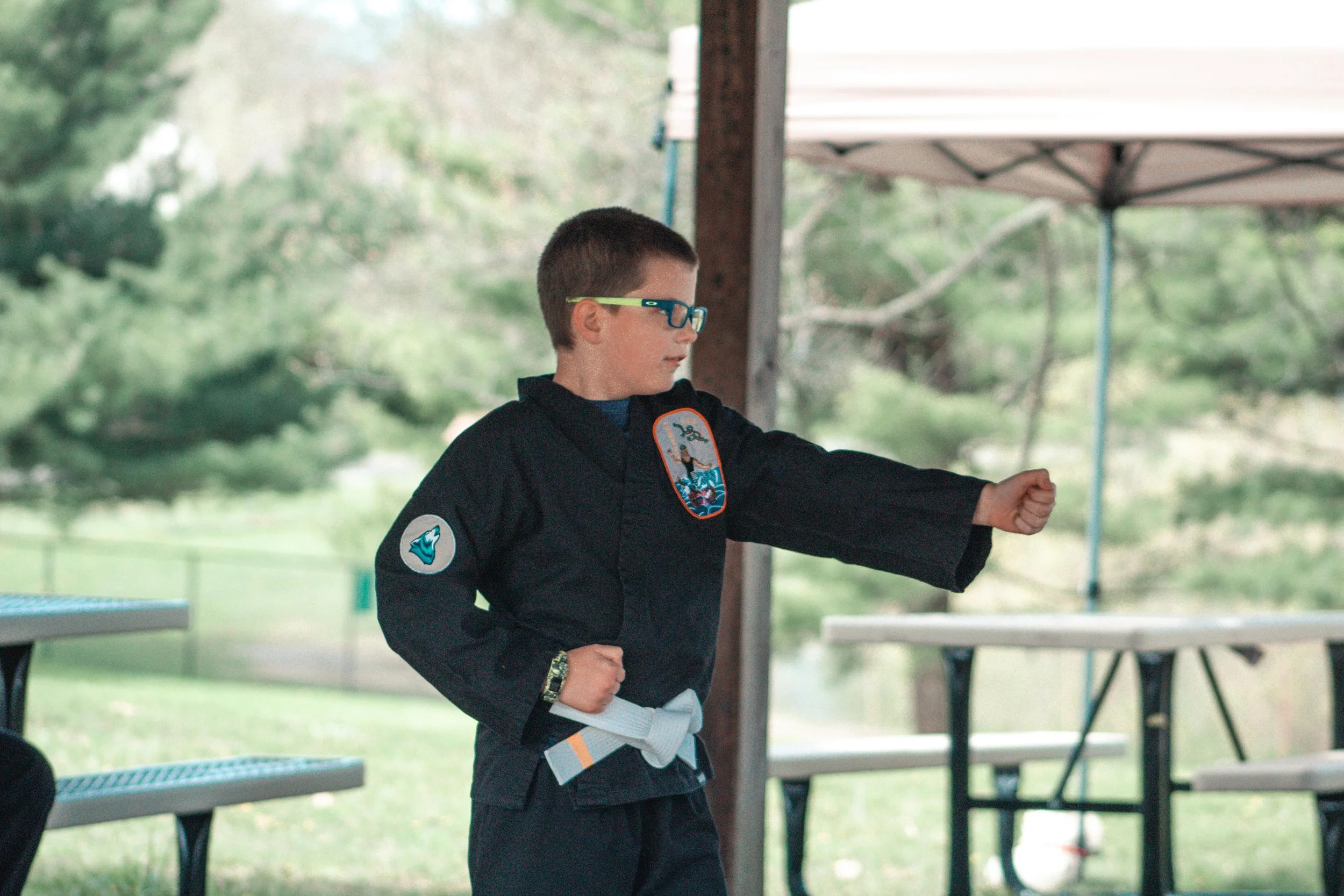 Blue Wolf Martial Arts - Traditional Martial Arts in Stow, Ohio