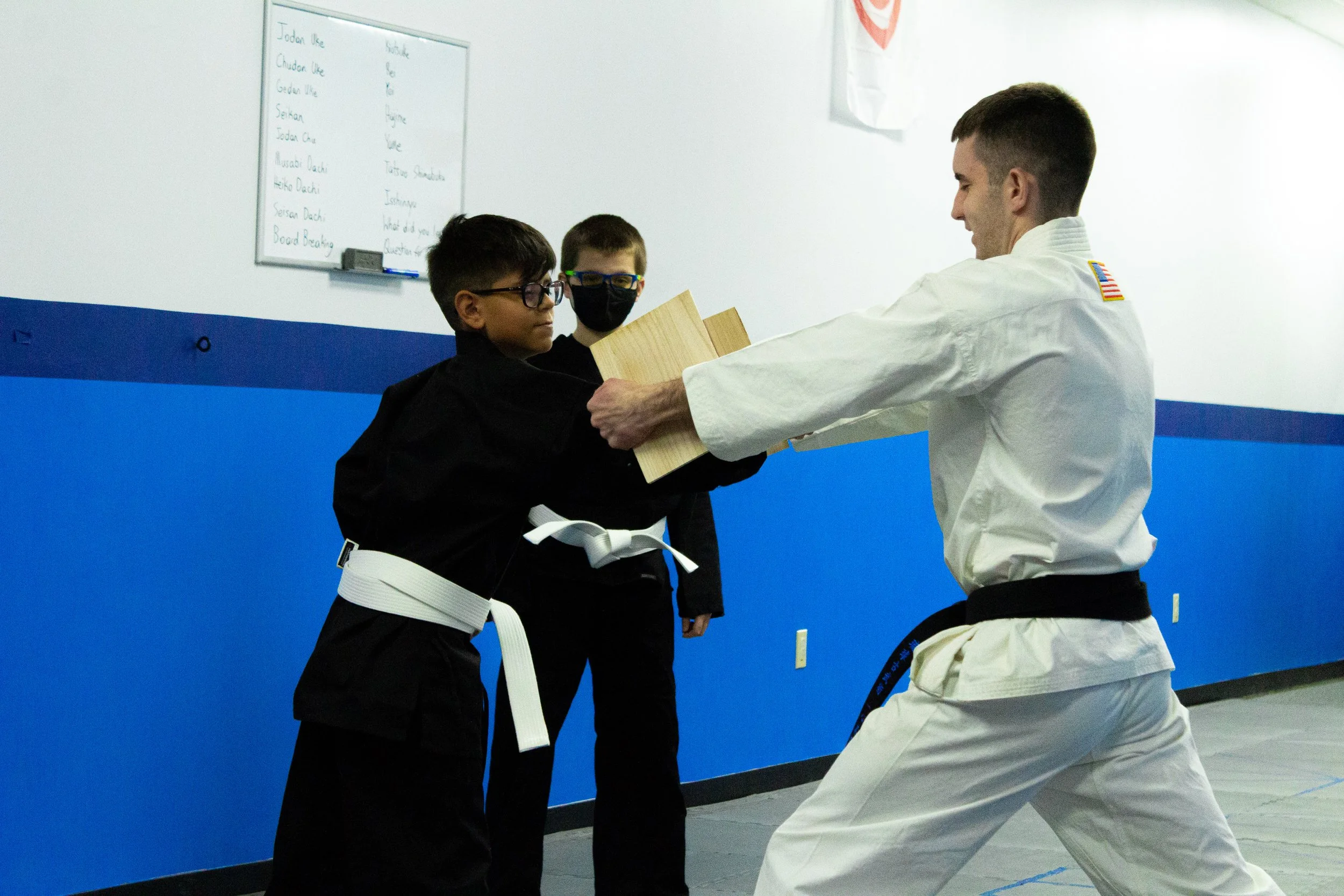Blue Wolf Martial Arts - Traditional Martial Arts in Stow, Ohio