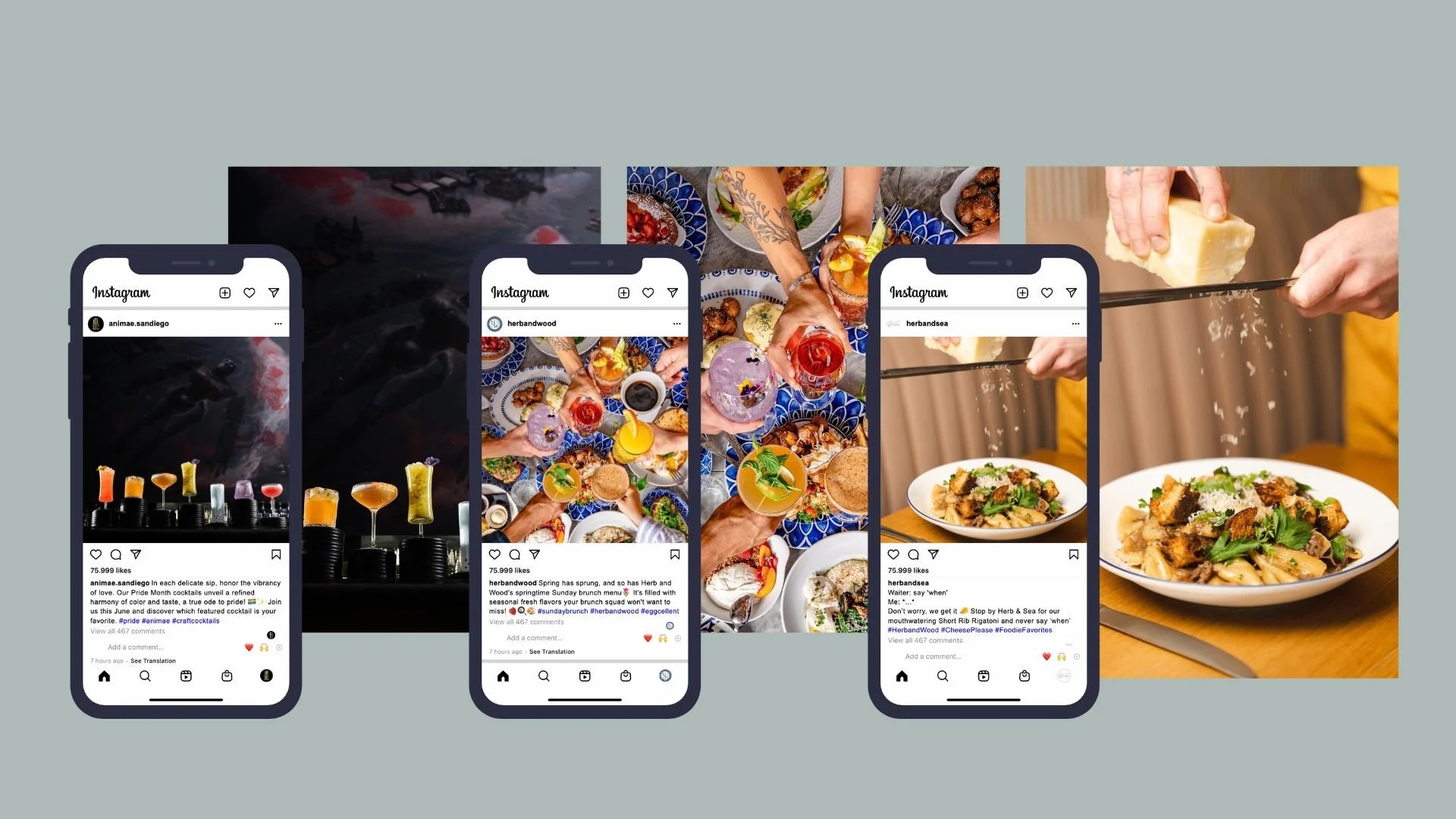 Work — Stephanie Legault Portfolio