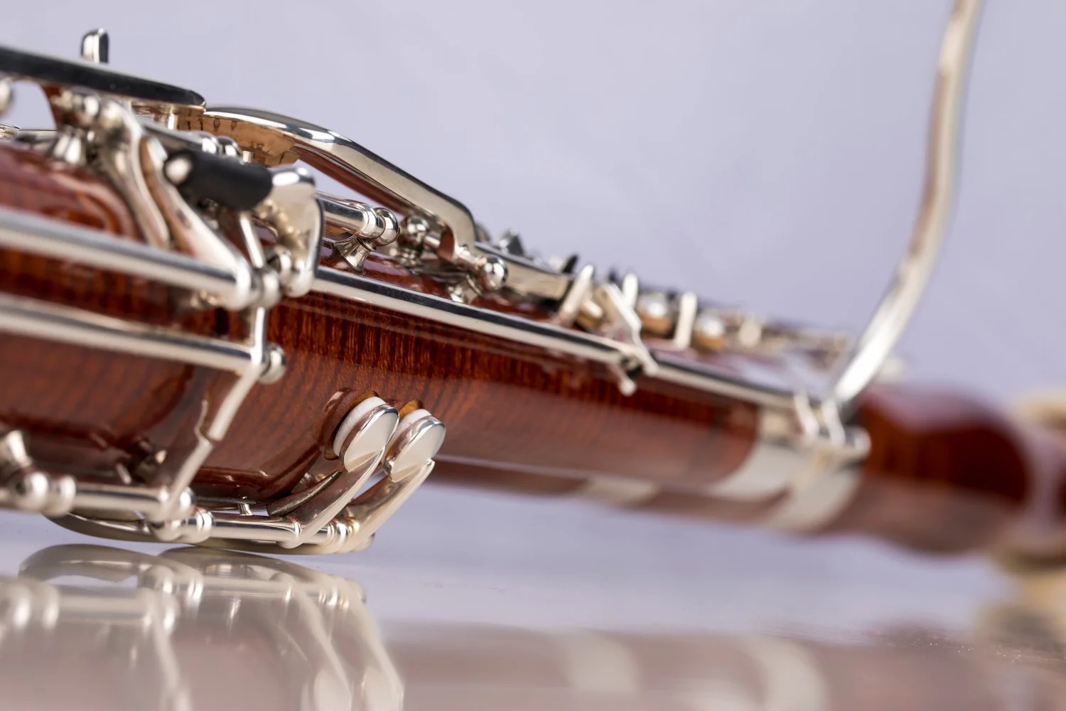 Woodwinds | The Bassoon Family — Timbre and Orchestration Resource