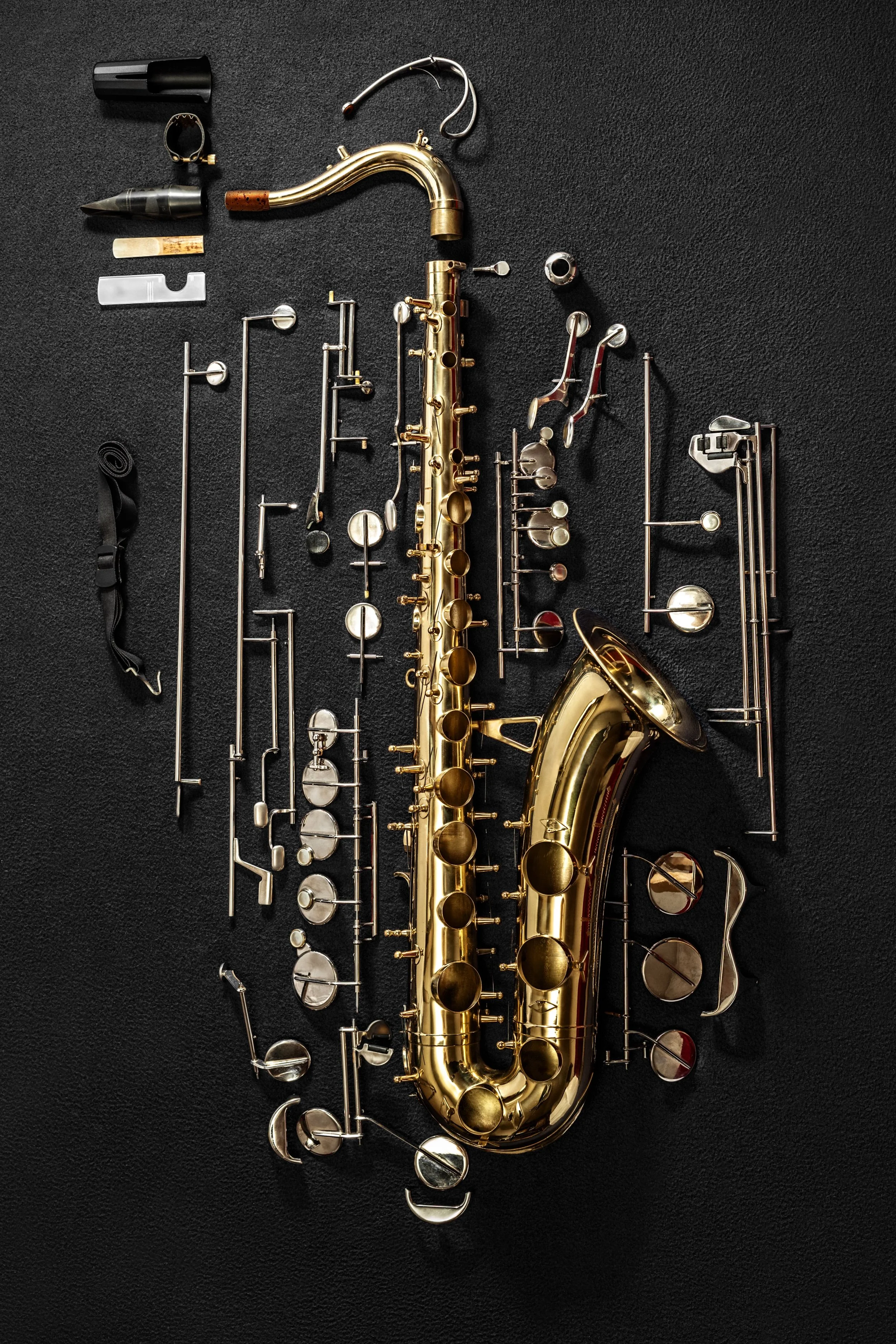 Woodwinds | The Saxophone Family — Timbre and Orchestration Resource