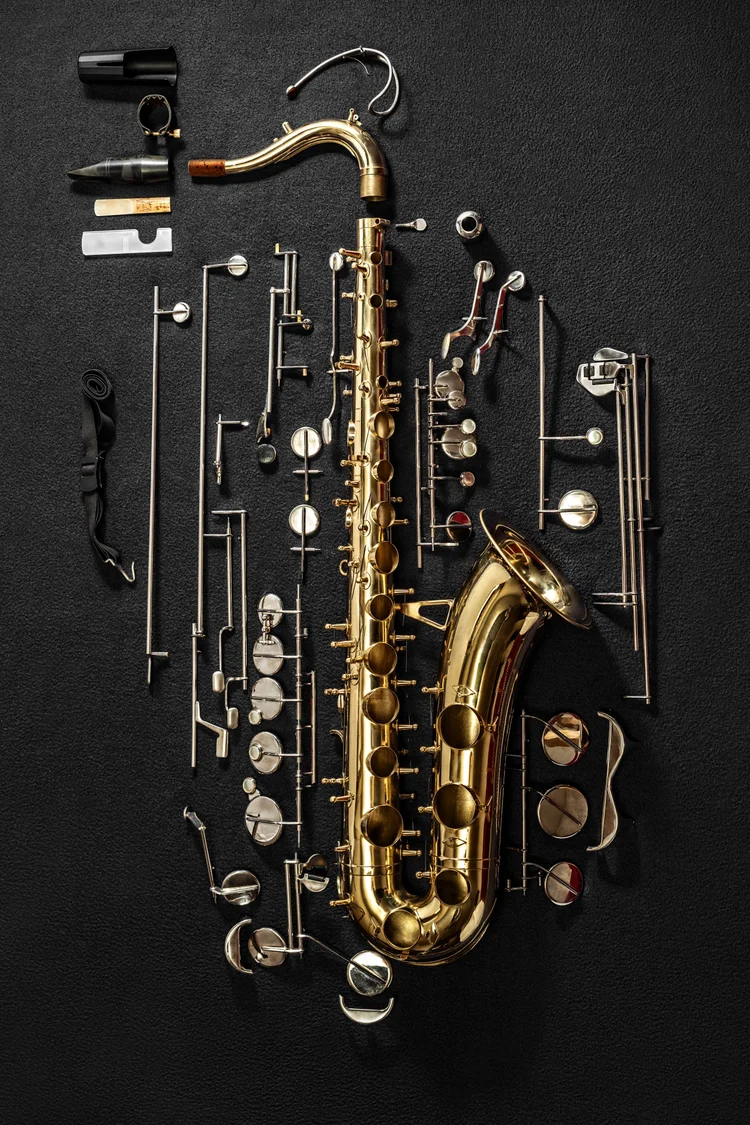 Woodwinds | The Saxophone Family — Timbre and Orchestration Resource