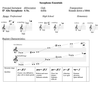 Woodwinds | The Saxophone Family — Timbre and Orchestration Resource