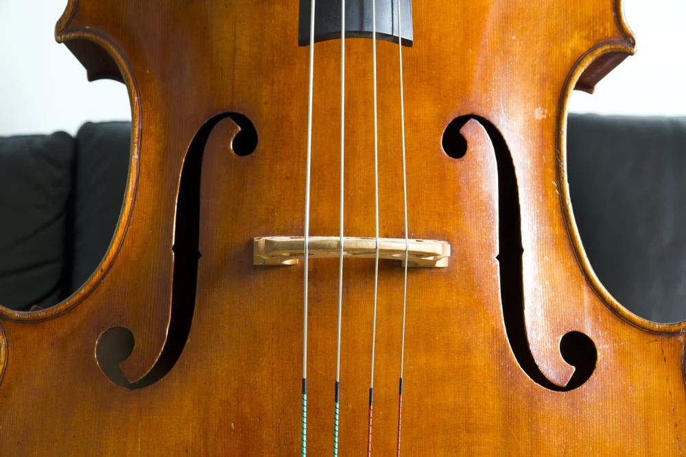Contrabass | Homepage — Timbre and Orchestration Resource