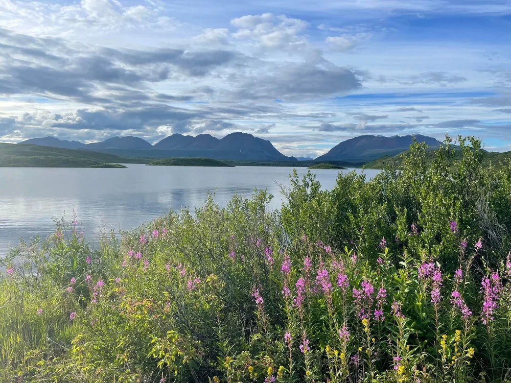 Tangle Lakes Grayling Academy — Women's Flyfishing