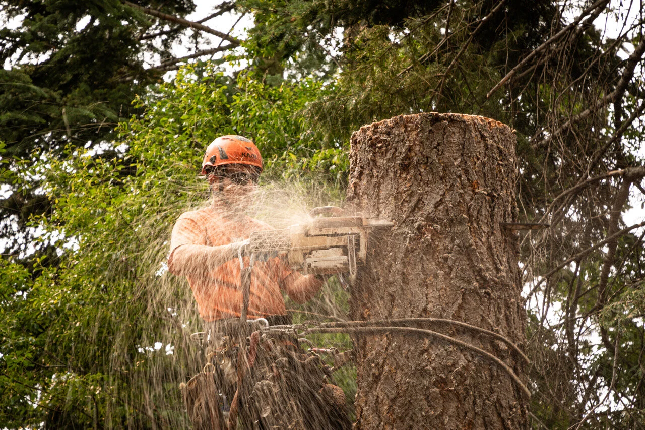 Estate Tree Services