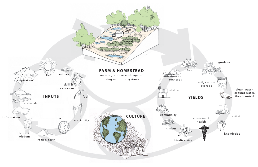 Book: The Resilient Farm & Homestead — Whole Systems Design