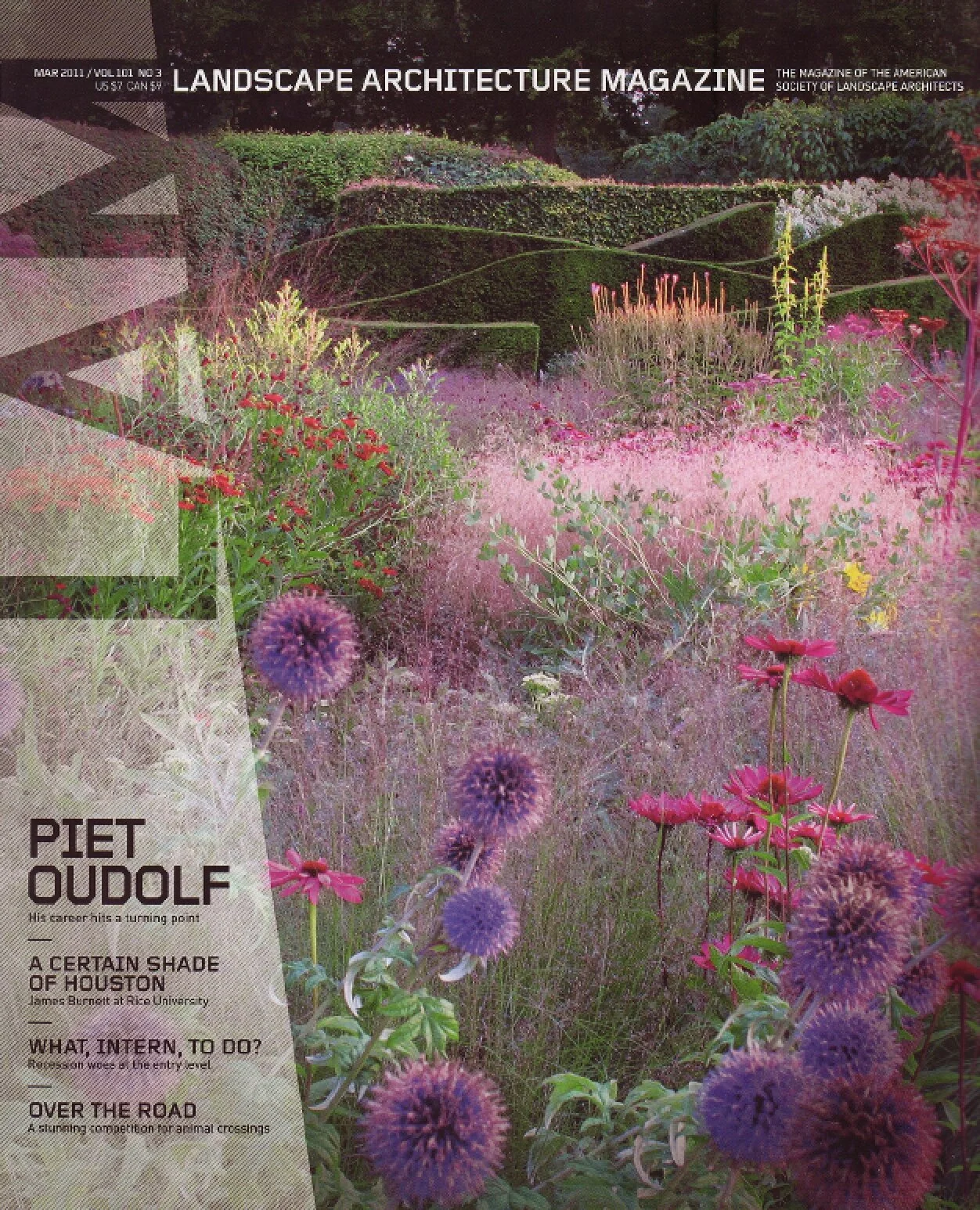 About Us — Whole Systems Design