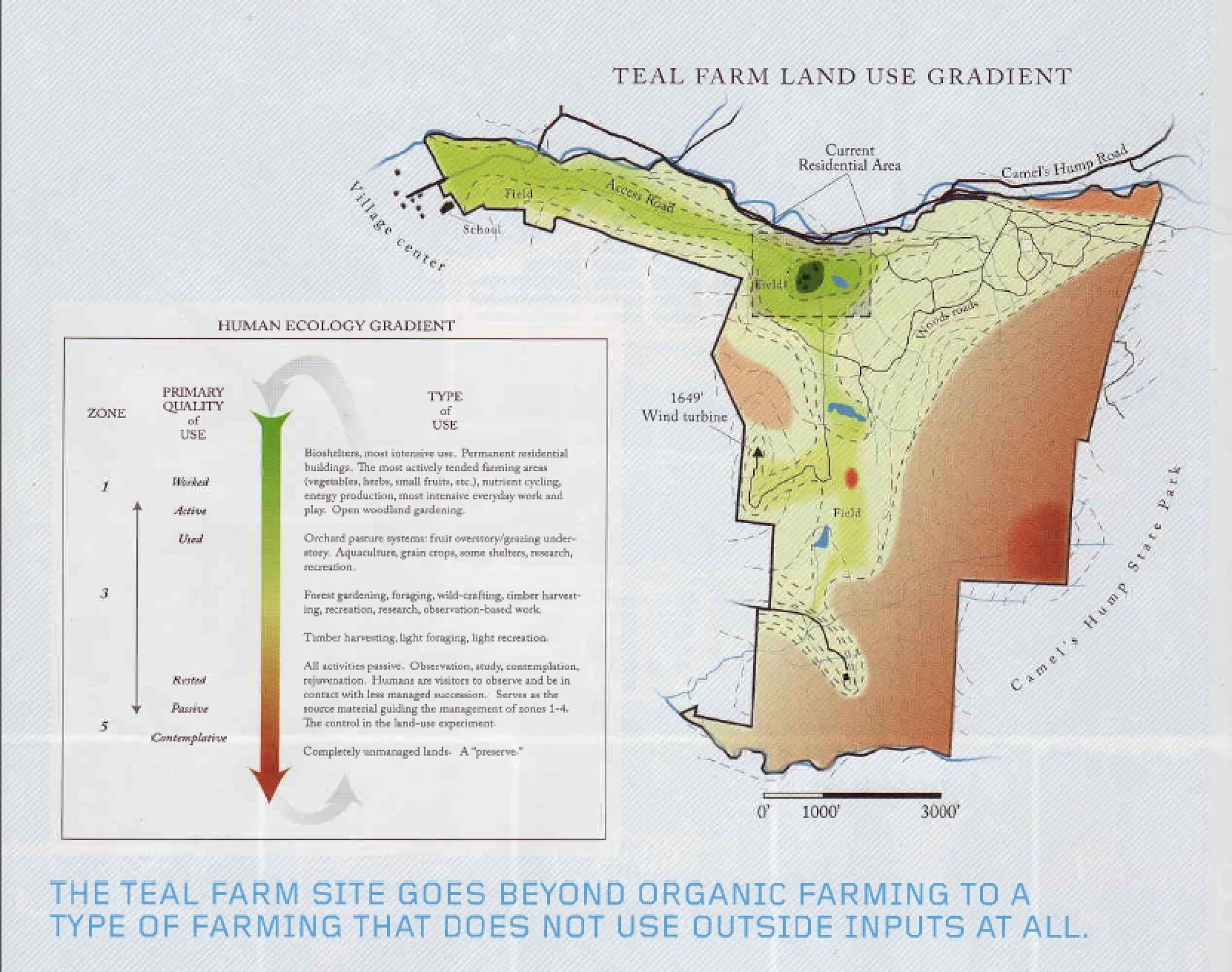 Project - Teal Farm — Whole Systems Design