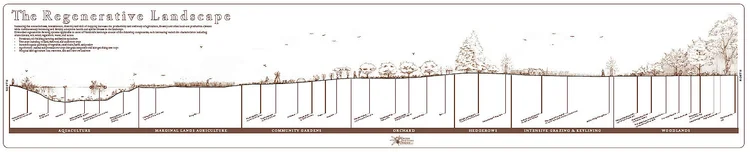 Project — Town Common — Whole Systems Design