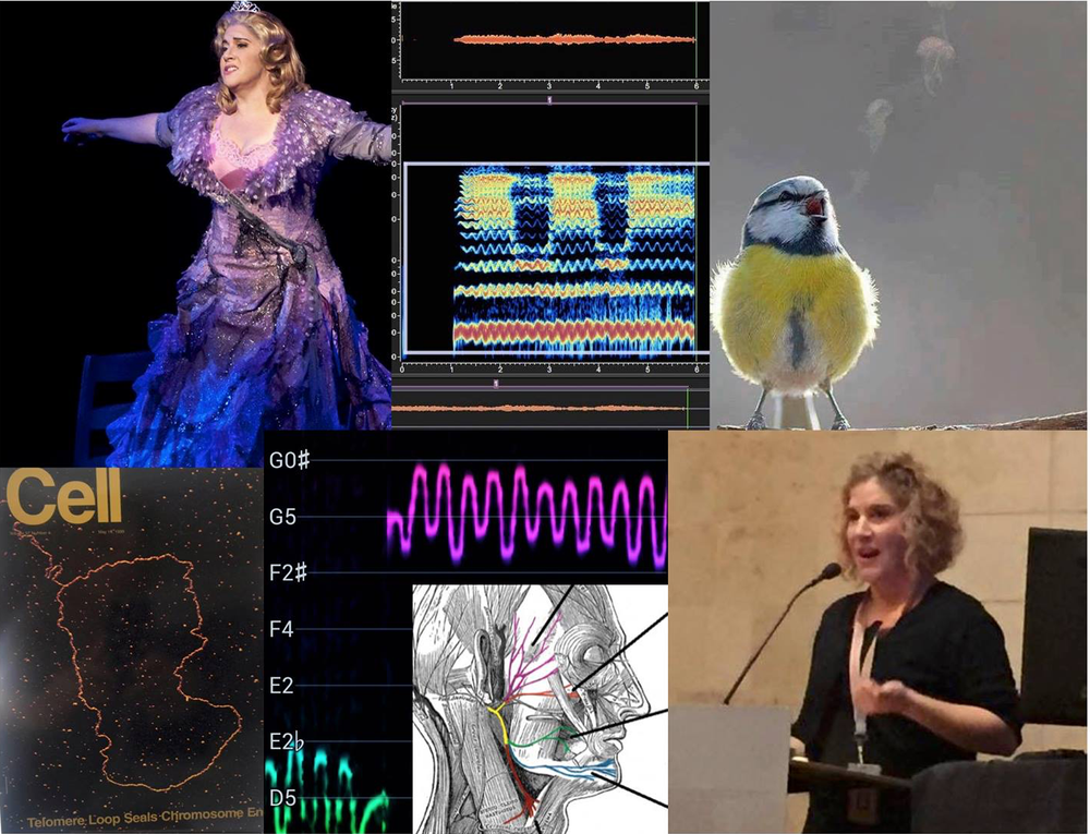 Talks — Heidi Moss Erickson: soprano { scientist } seeker