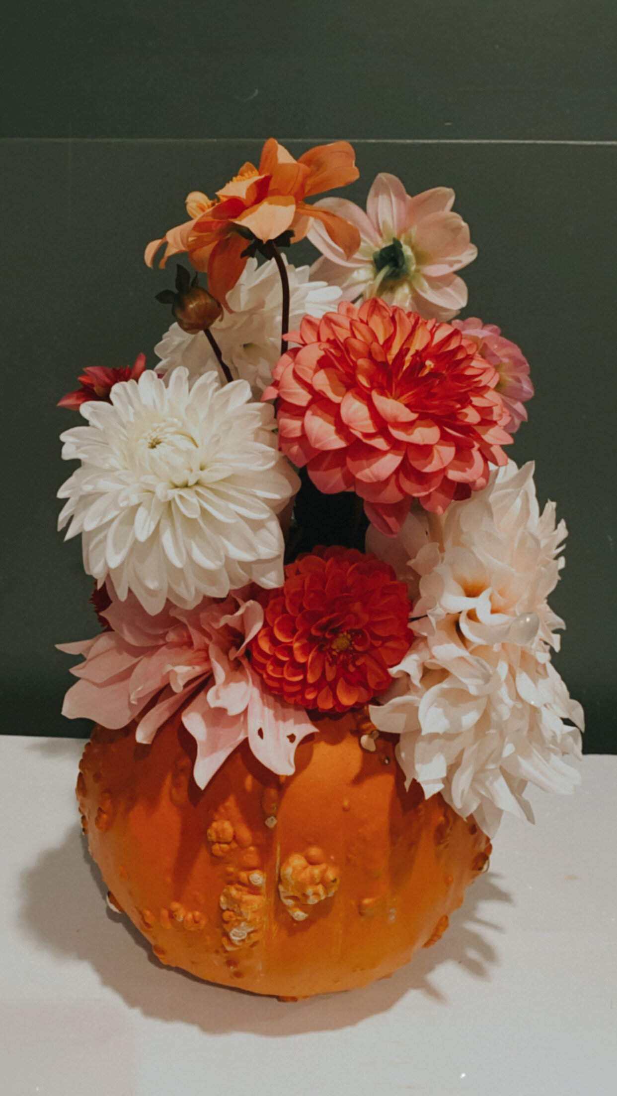 Store — Hazel & Goose | Urban Flower Farm & Floral Creations | White ...