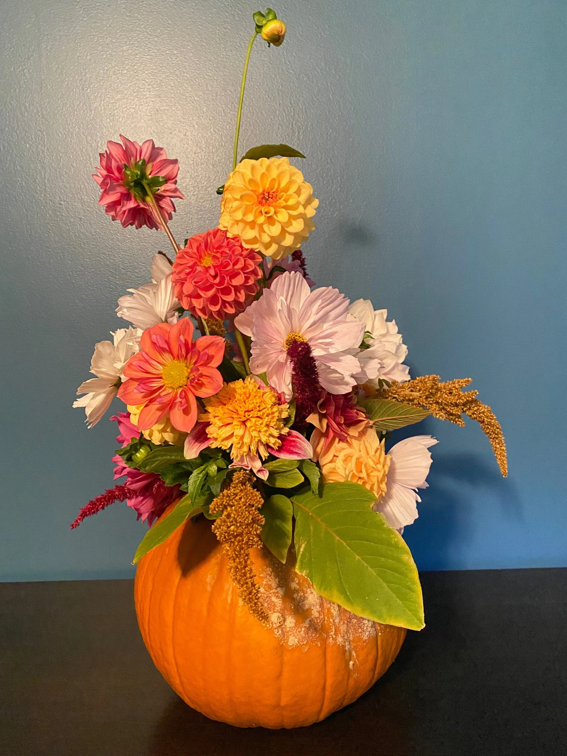 Store — Hazel & Goose | Urban Flower Farm & Floral Creations | White ...