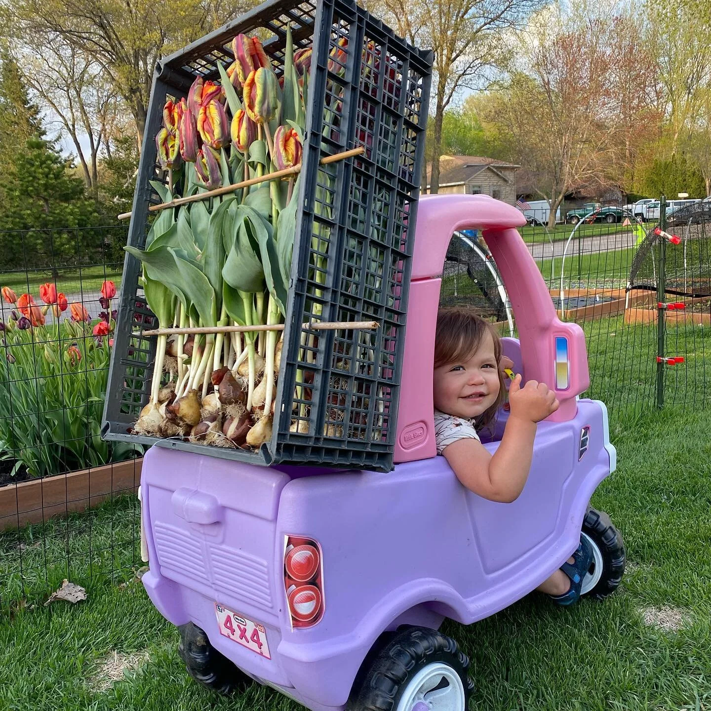 Hazel & Goose | Urban Flower Farm & Floral Creations | White Bear Lake, MN