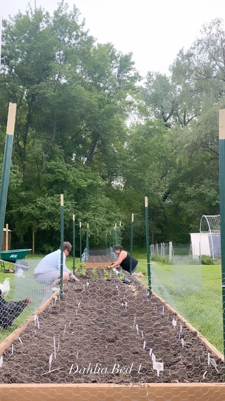Hazel & Goose | Urban Flower Farm & Floral Creations | White Bear Lake, MN