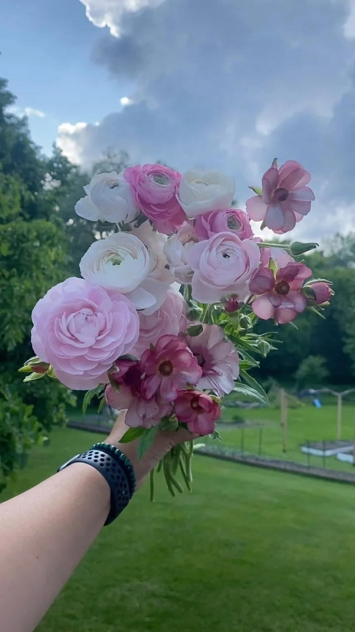 Hazel & Goose | Urban Flower Farm & Floral Creations | White Bear Lake, MN