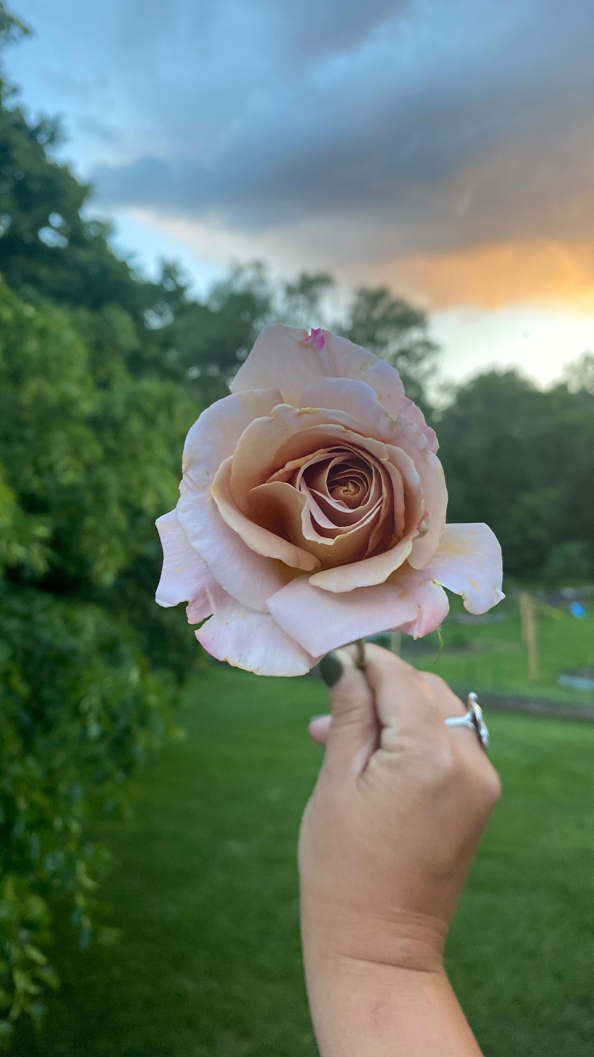 Hazel & Goose | Urban Flower Farm & Floral Creations | White Bear Lake, MN