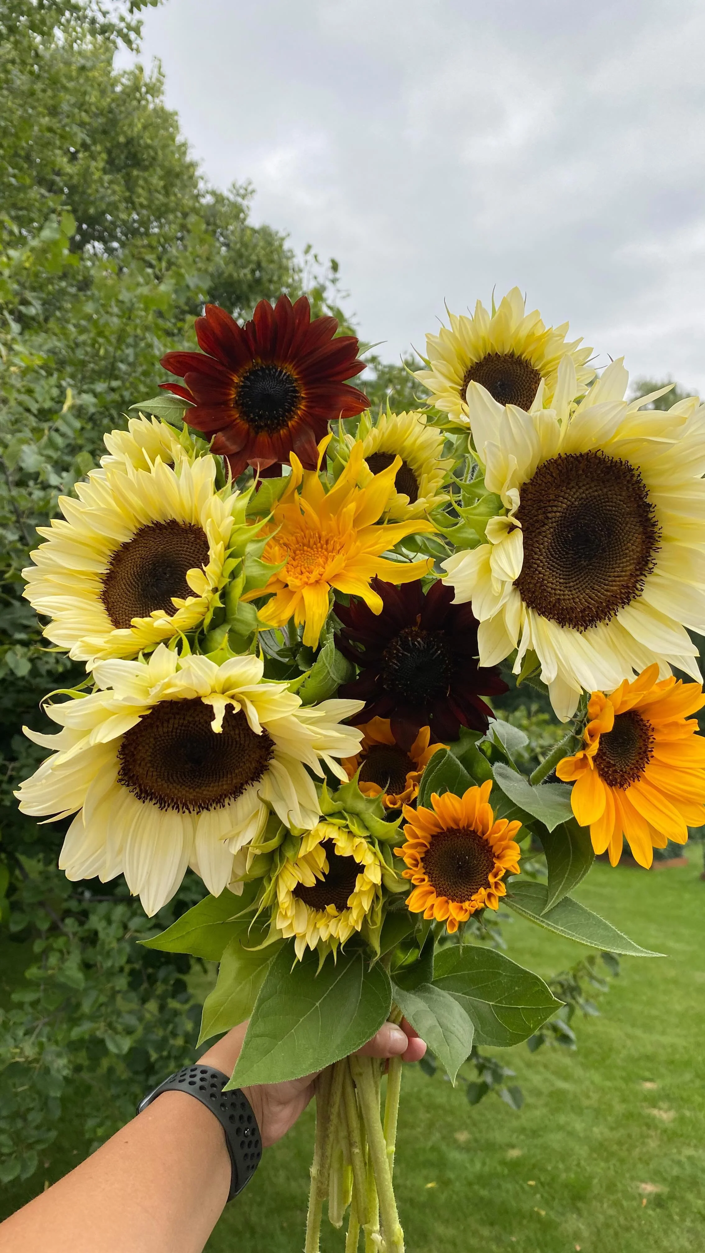 Hazel & Goose | Urban Flower Farm & Floral Creations | White Bear Lake, MN