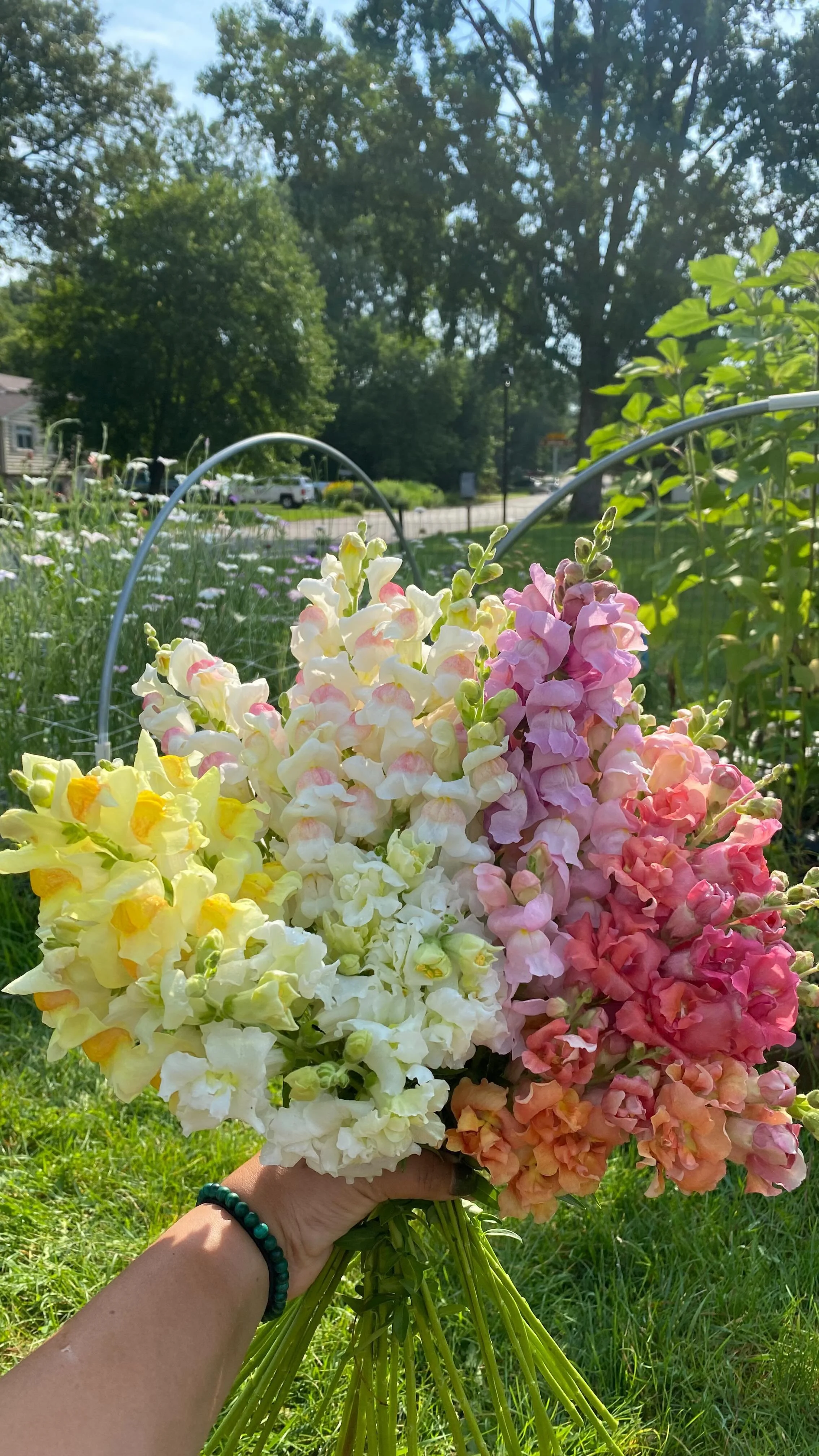 Hazel & Goose | Urban Flower Farm & Floral Creations | White Bear Lake, MN