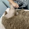 What happens behind the scenes of a TPLO surgery? | Fundraising For Pet ...