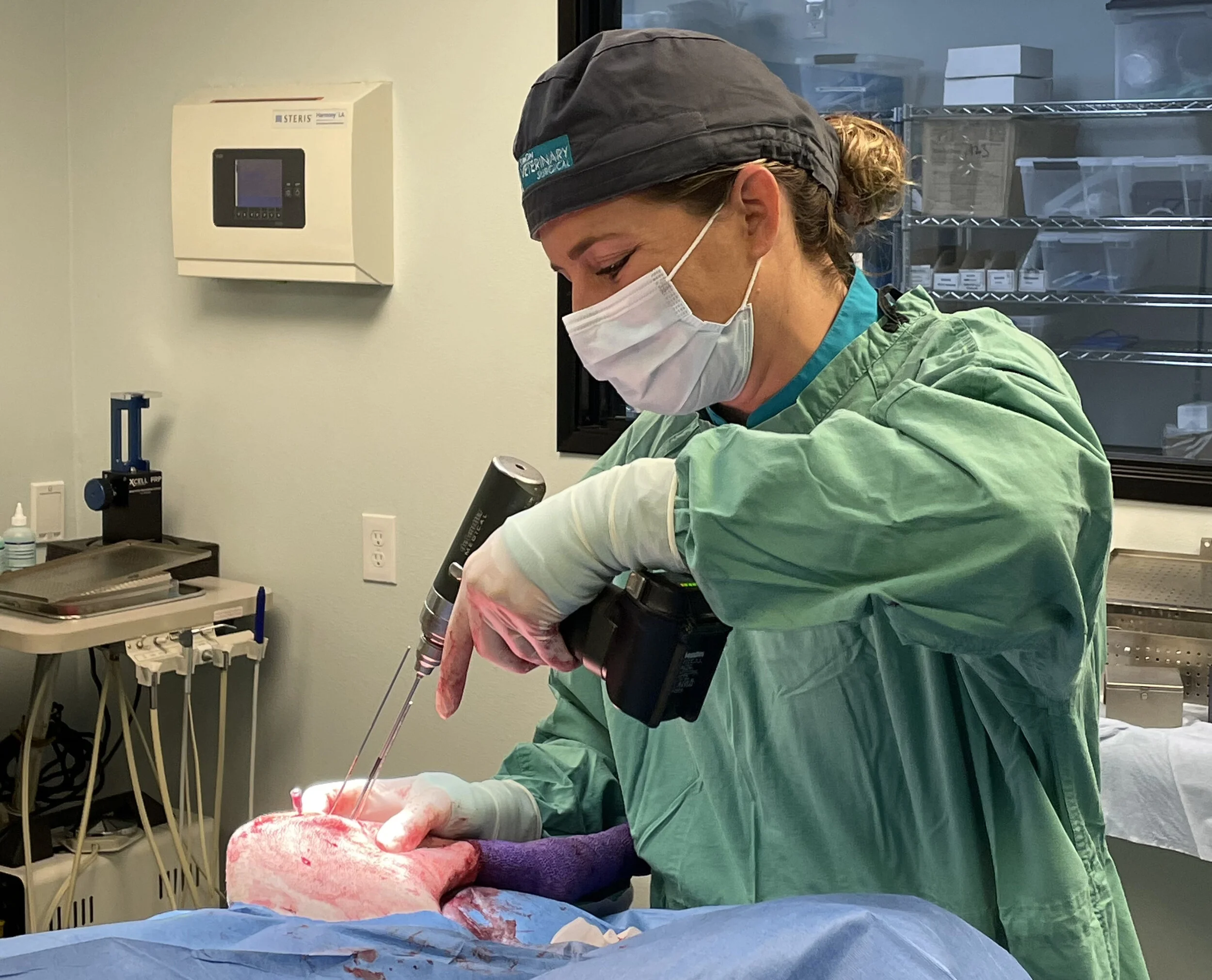 What happens behind the scenes of a TPLO surgery? | Fundraising For Pet ...