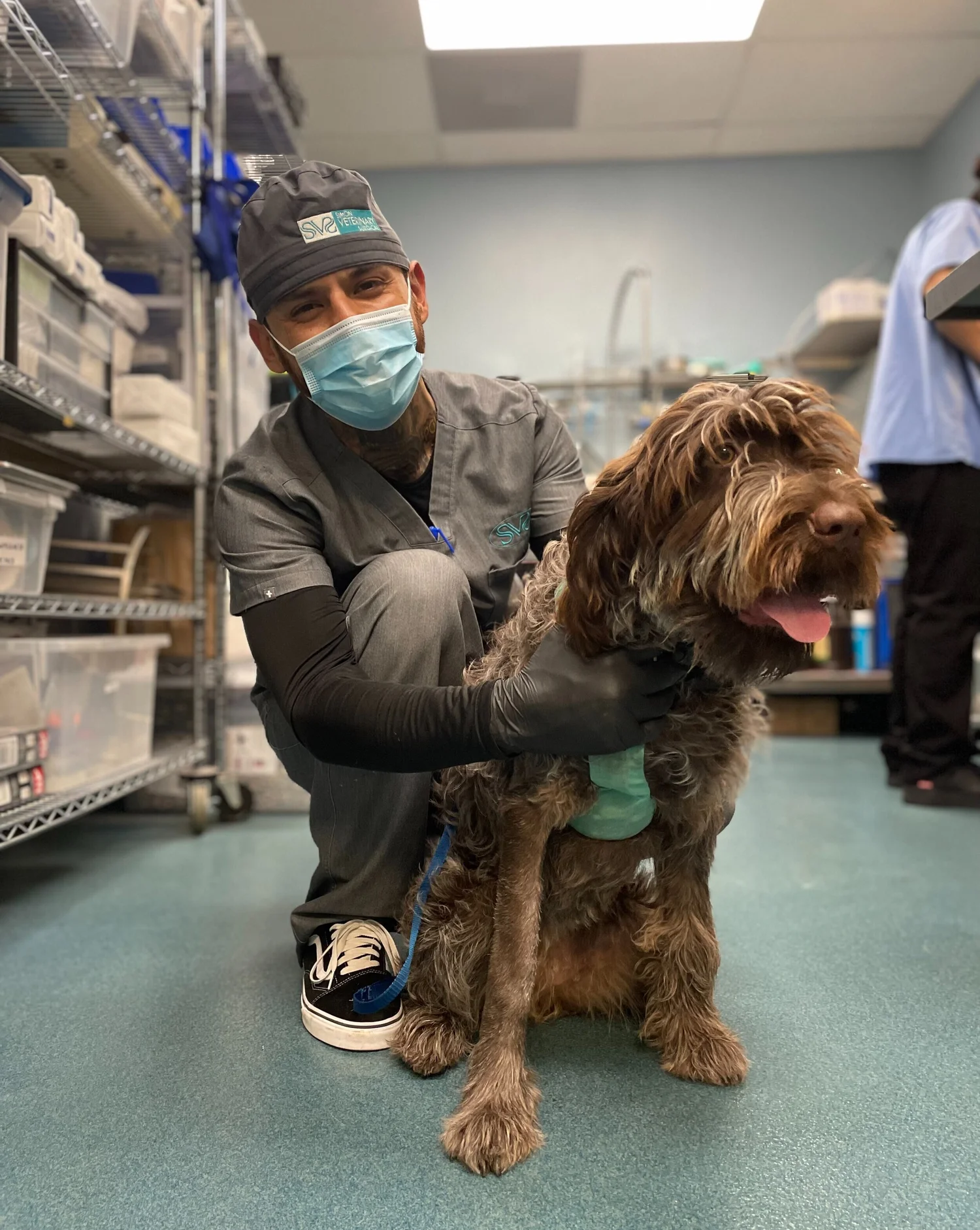 Simon Veterinary Surgical | Veterinary Orthopedic | Los Angeles