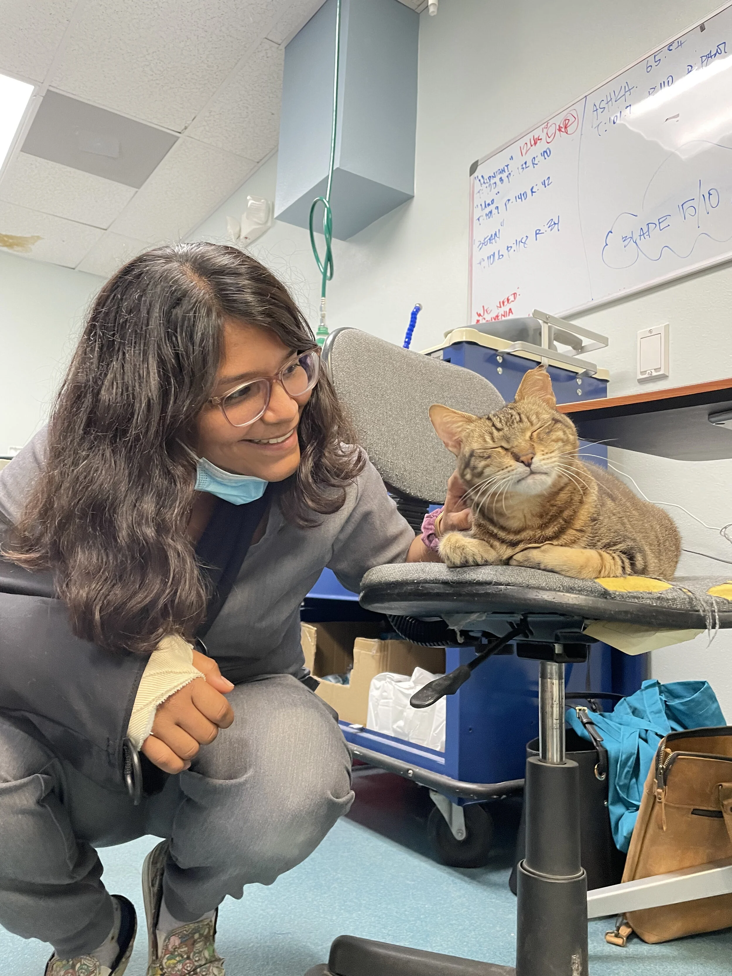 Simon Veterinary Surgical