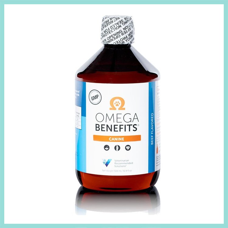 Omega Benefits® – The Ultimate Omega-3 Supplement for Your Pet’s Health ...