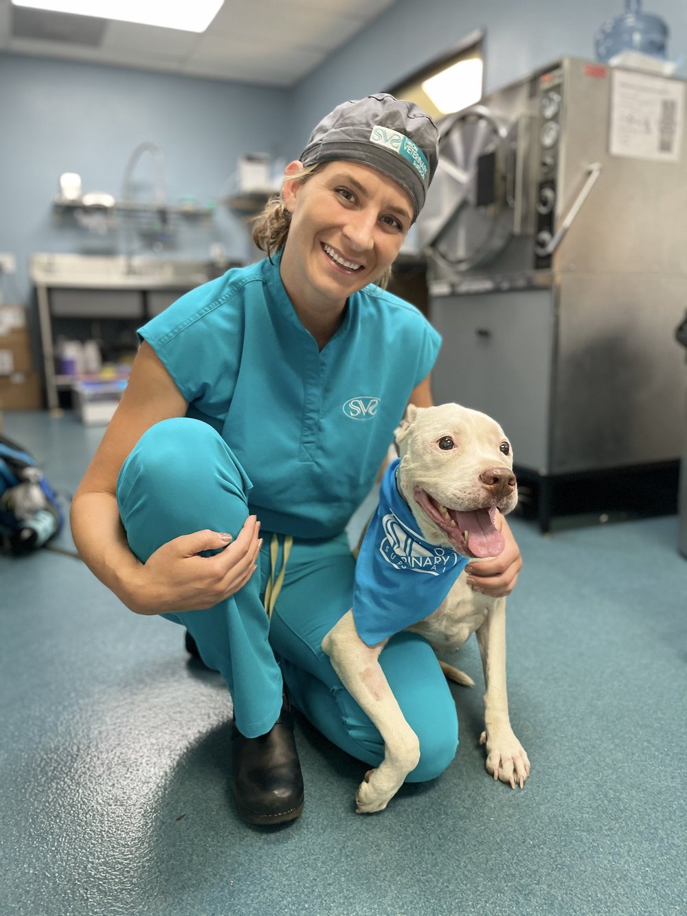 Simon Veterinary Surgical | Veterinary Orthopedic | Los Angeles