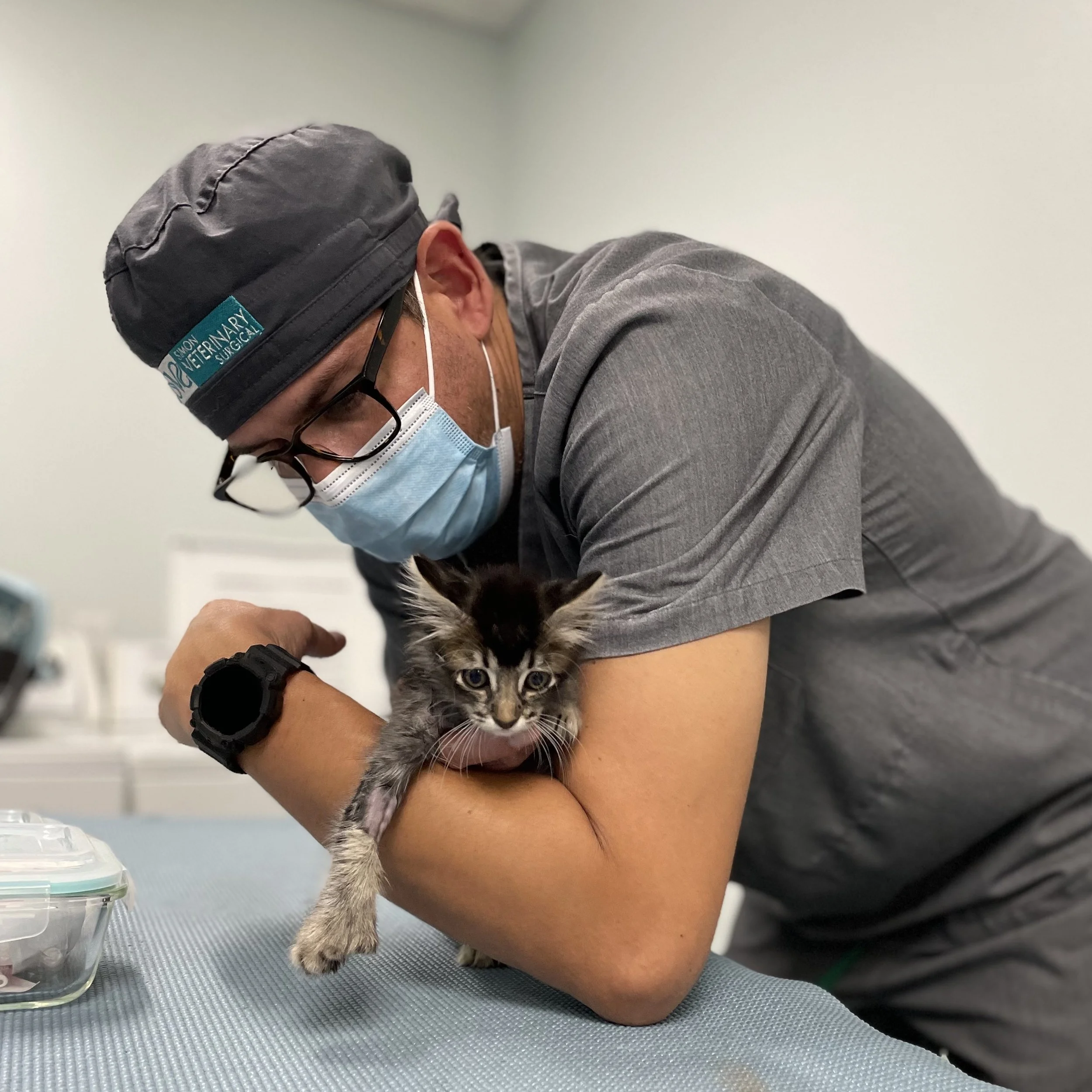 Simon Veterinary Surgical | Veterinary Orthopedic | Los Angeles