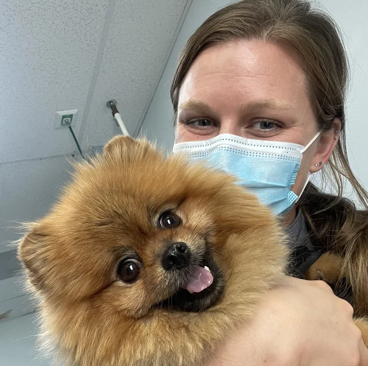 Simon Veterinary Surgical | Veterinary Orthopedic | Los Angeles