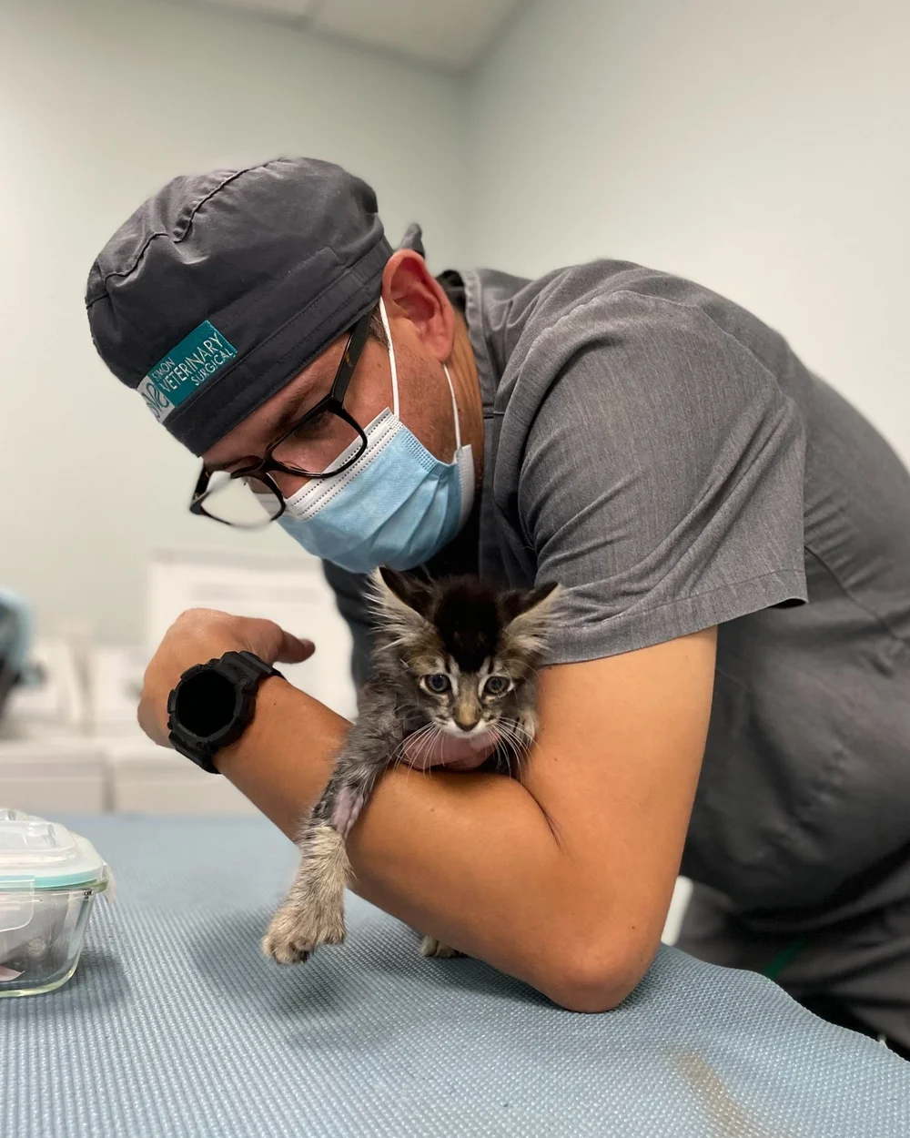 Simon Veterinary Surgical | Veterinary Orthopedic | Los Angeles