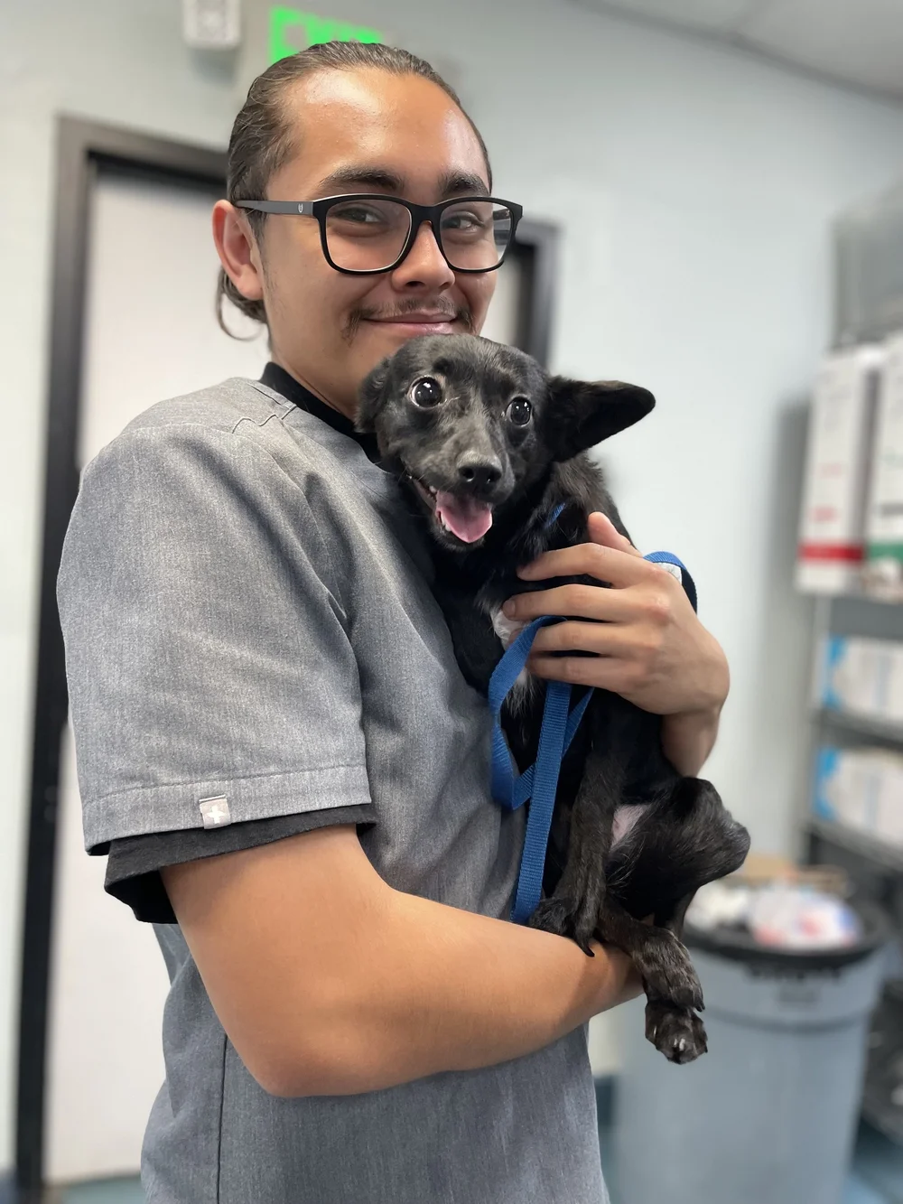 Simon Veterinary Surgical | Veterinary Orthopedic | Los Angeles