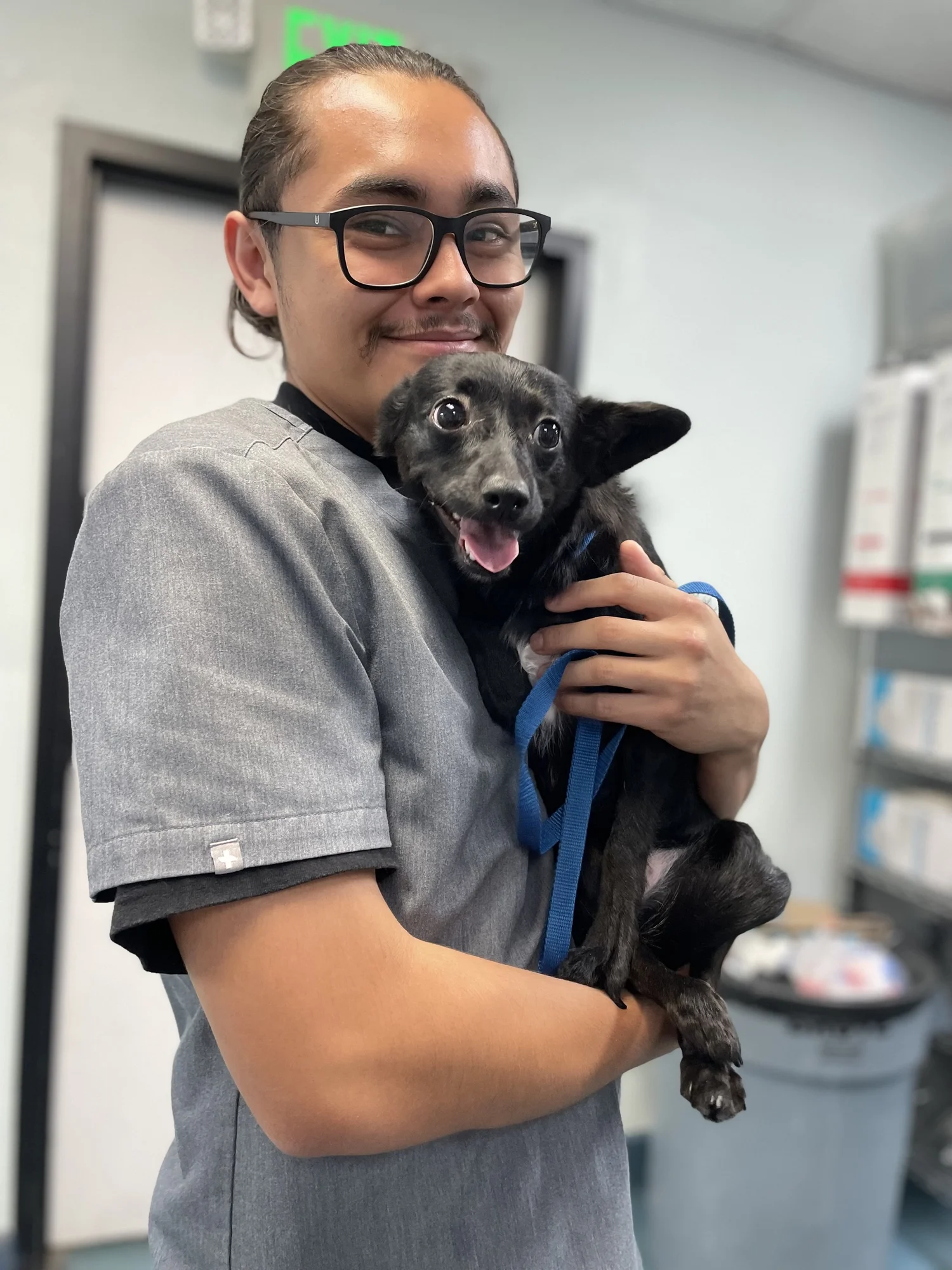 Simon Veterinary Surgical | Veterinary Orthopedic | Los Angeles
