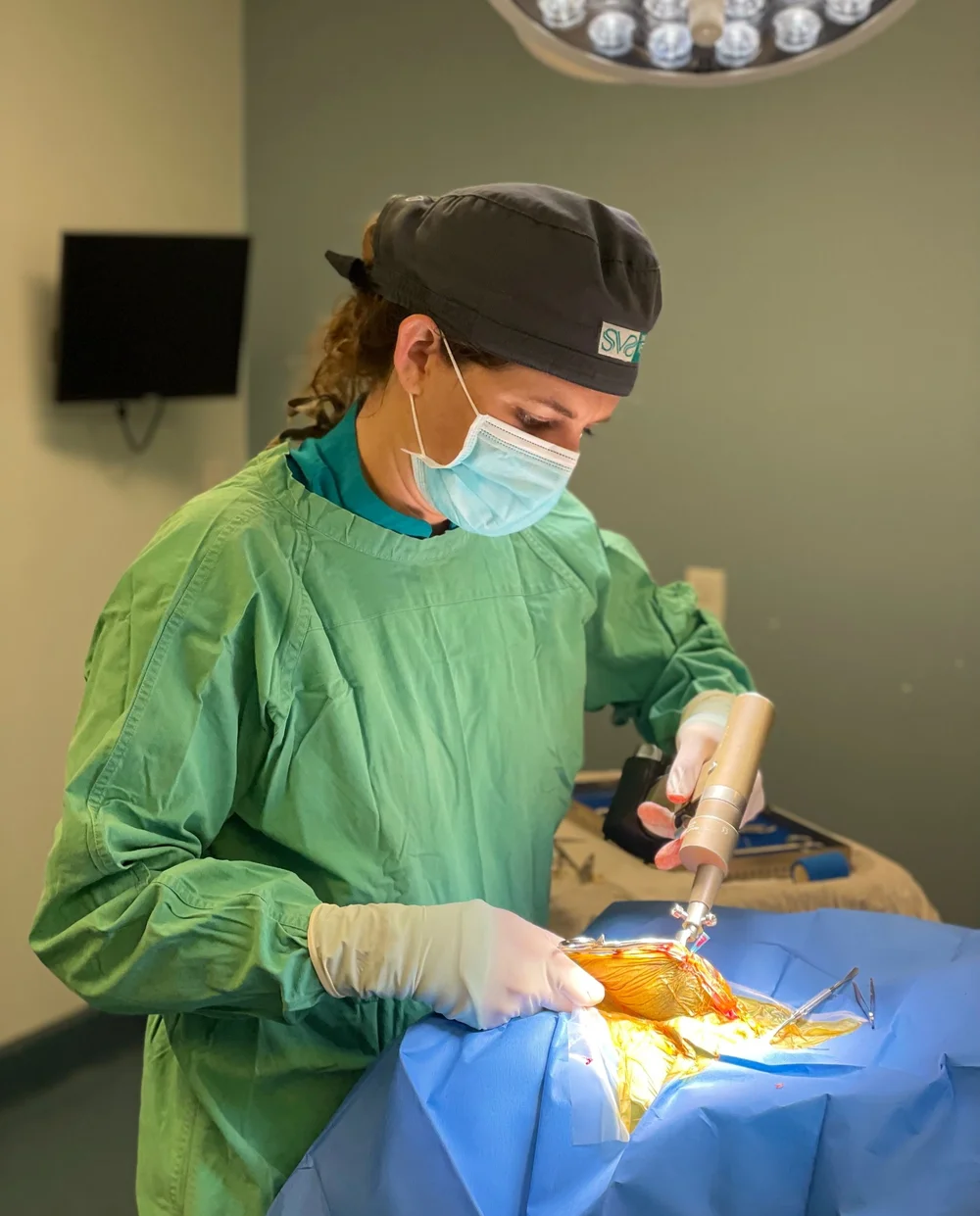 TPLO Surgery | Best TPLO Vet Surgery | California