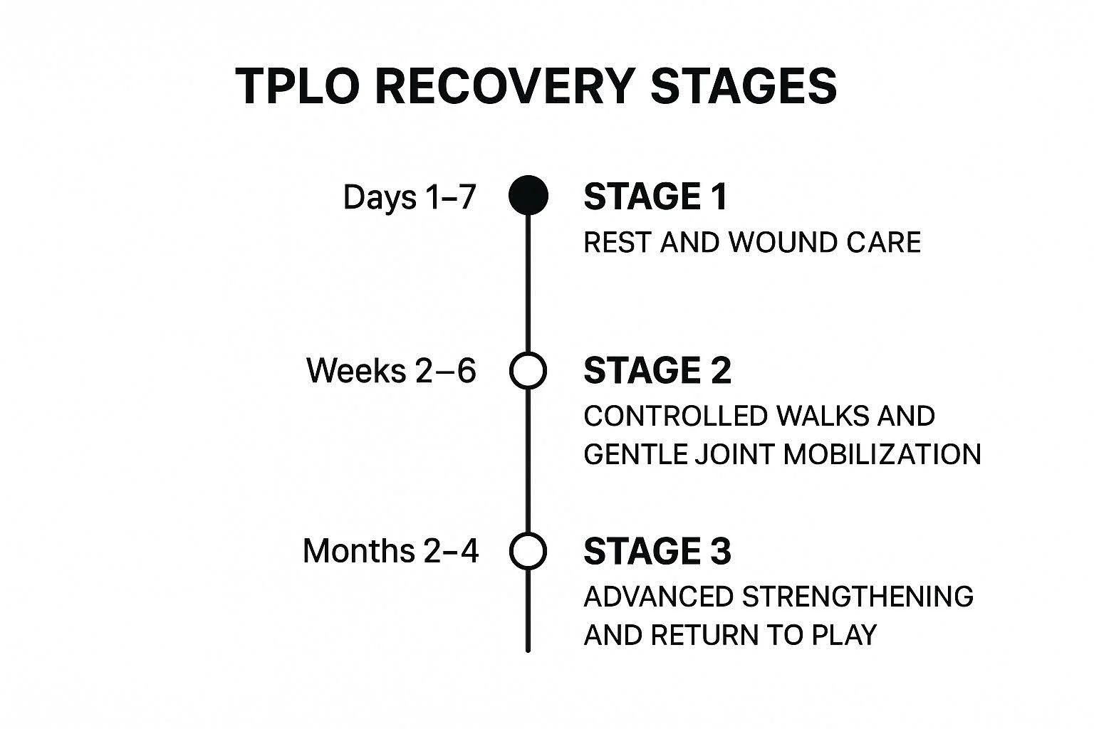 Your Guide to TPLO Recovery for Dogs | Fundraising For Pet Surgery ...