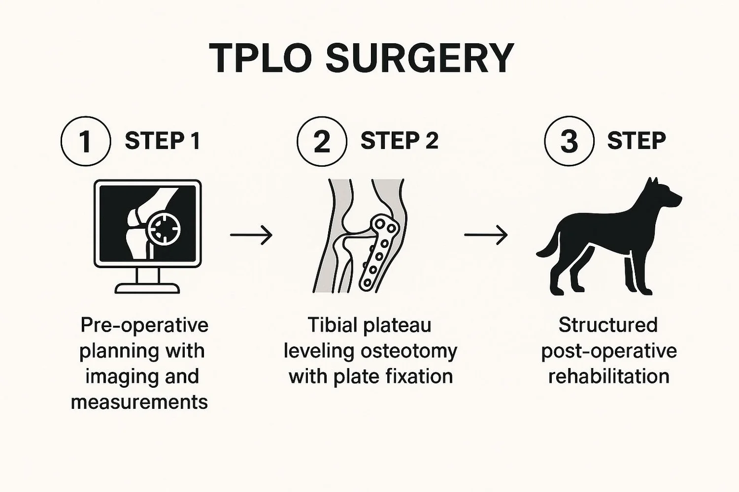 TPLO Surgery For Dogs: Your Complete Recovery Success Guide ...